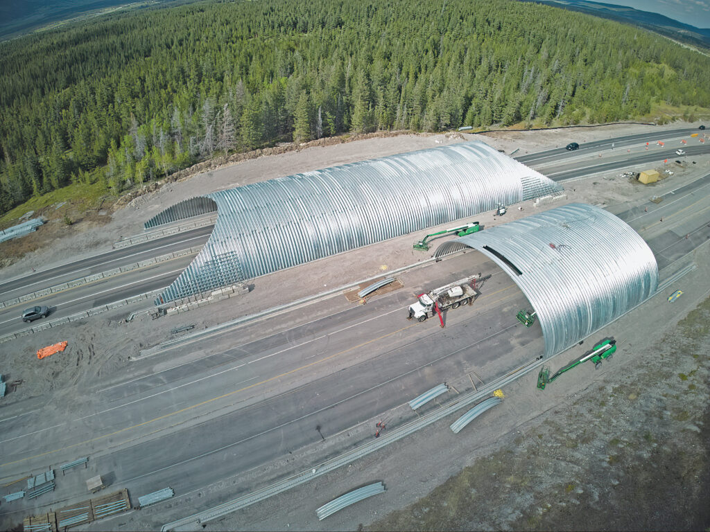 AIL wildlife crossings in Banff