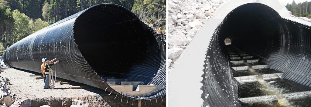 Wildlife Crossing Solutions